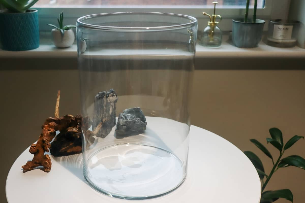 How to Choose the Right DIY Terrarium Containers - Terrarium Tribe