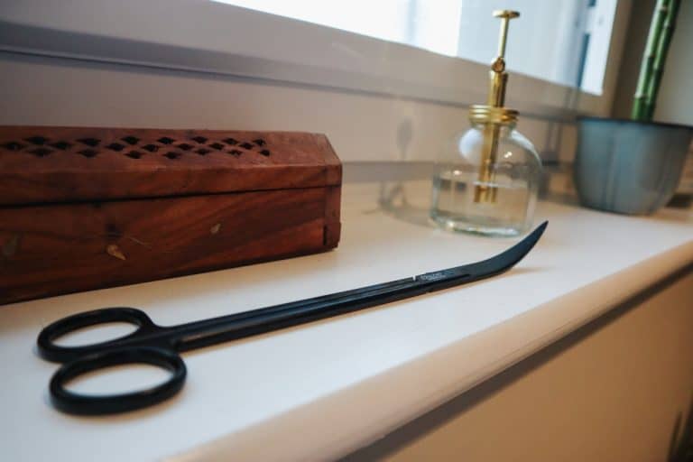 6 Must-Have Terrarium Tools for Any Budding Builder (+ Bonus Items)