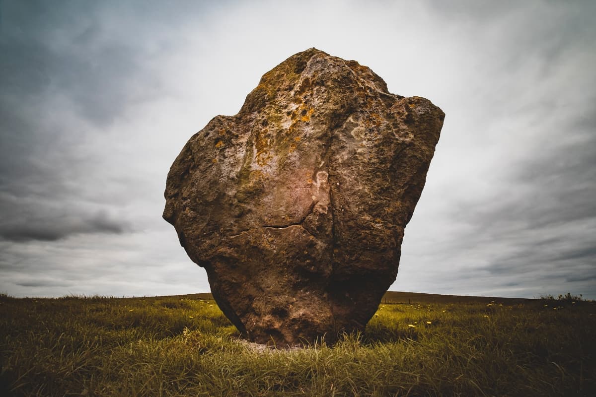 Learn These Pro Terrarium Design Skills to Level up Your Game ...