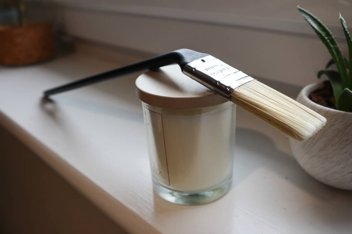 6 Must-Have Terrarium Tools for Any Budding Builder (+ Bonus Items)