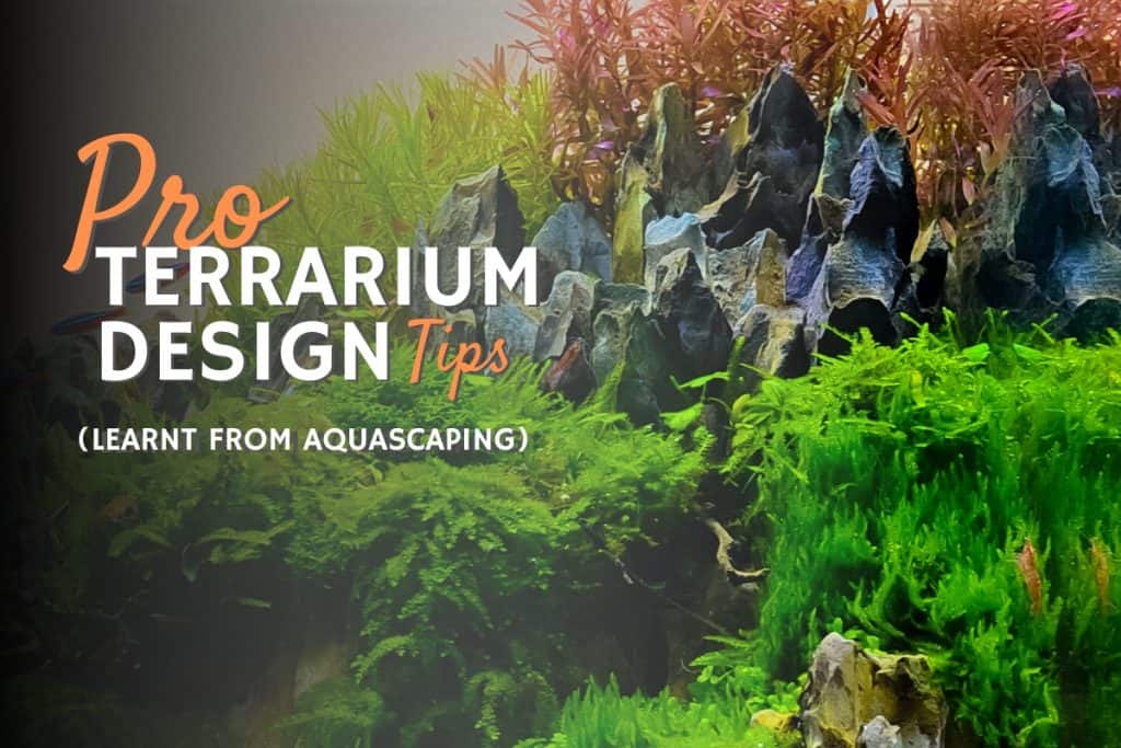 Learn These Pro Terrarium Design Skills to Level up Your Game ...