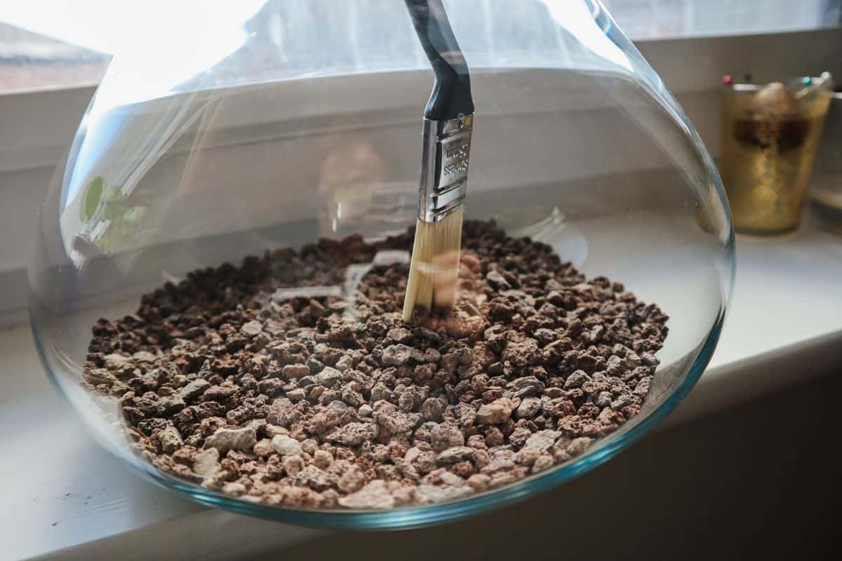 Terrarium Layers: A Step-By-Step Guide to Building Success