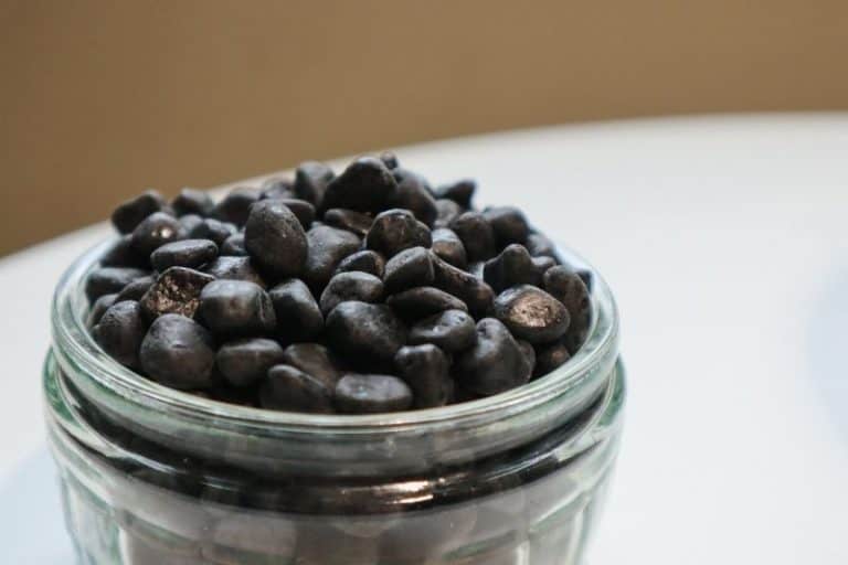 What Is a Terrarium False Bottom? (And Do You Need One?)