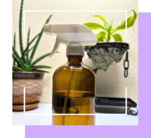 6 Must-Have Terrarium Tools for Any Budding Builder (+ Bonus Items)