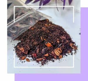 Terrarium Substrate: A Hands-on Guide (+ Best Soil Mixes) - Terrarium Tribe