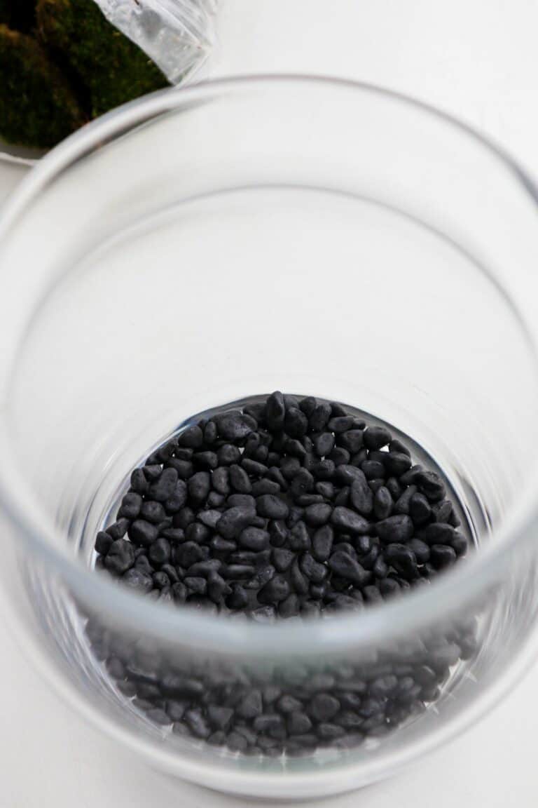 Terrarium False Bottom 101 - How to Make a Drainage Layer