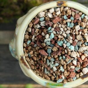 How to Make a Cactus Terrarium – The Prickly Details - Terrarium Tribe