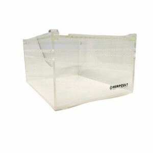 Meet the Super Cute (and Super Rare) Rubber Ducky Isopod!