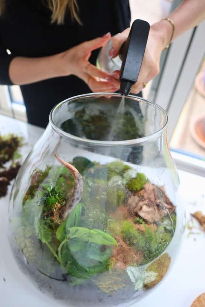 How to Make a Self-Sustaining Terrarium Ecosystem [Guide]