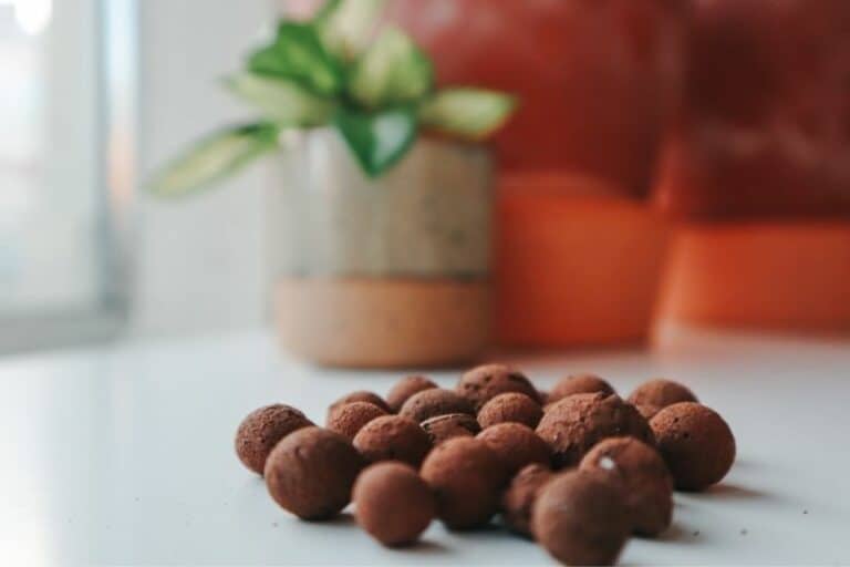 LECA Balls for Plants: The True All-in-One Substrate?
