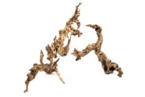 10 Dynamic Types of Wood for Terrariums (+ Photos) - Terrarium Tribe