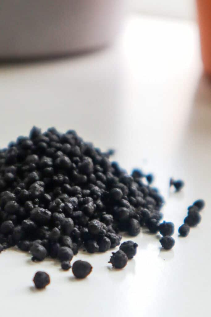 Terrarium Soil & Substrate - A Hands-on Guide (+ Best Mixes ...