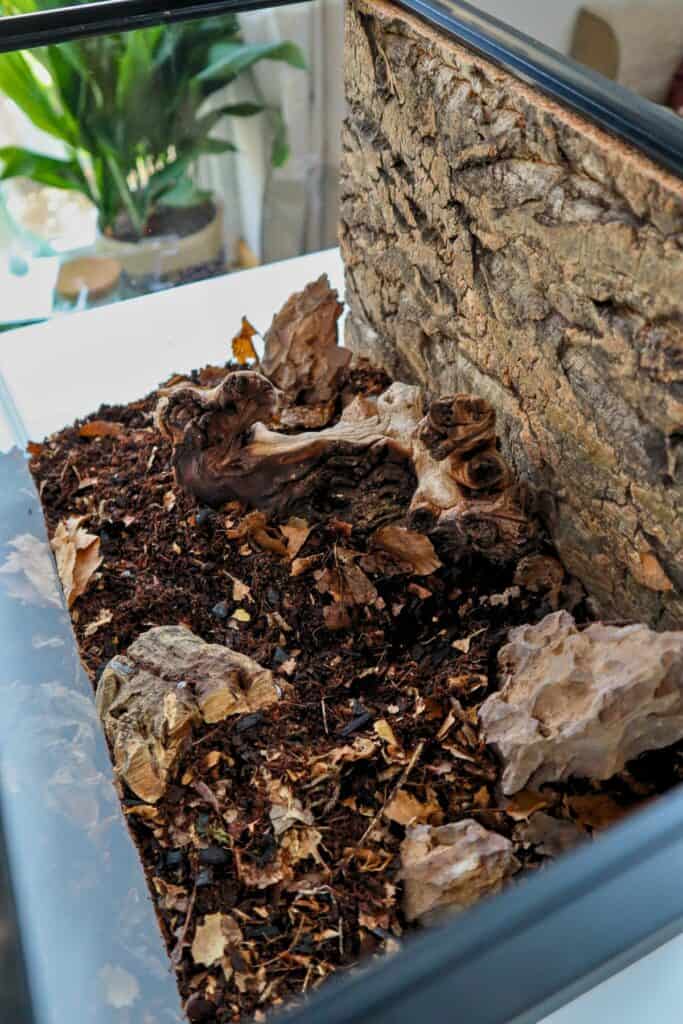 How to Make a Bioactive Terrarium (Or Vivarium) - DIY Guide - Terrarium ...