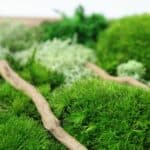 How to Make a Vibrant Preserved Moss Wall (8 Simple Steps)
