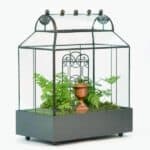 A Modern Classic: The Best Wardian Cases for Sale (Right Now)