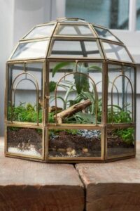 A Modern Classic: The Best Wardian Cases for Sale (Right Now)