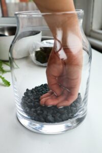 Begonia Terrarium 101: Top Plants & (Step-By-Step) Guide