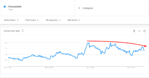 Houseplant Statistics 2022 [Fresh Data + Covid Comparison]
