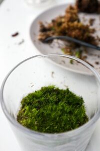 How to Make Fake Water for Crafts (+ Resin Terrarium Guide)