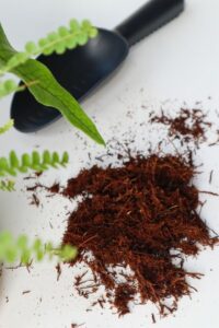 What is Tree Fern Fiber? A Terrarium Substrate Spotlight - Terrarium Tribe