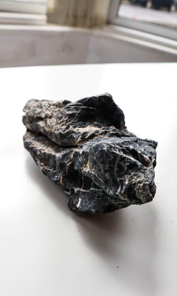 The Complete Seiryu Stone Hardscape Guide (Varieties & Uses)