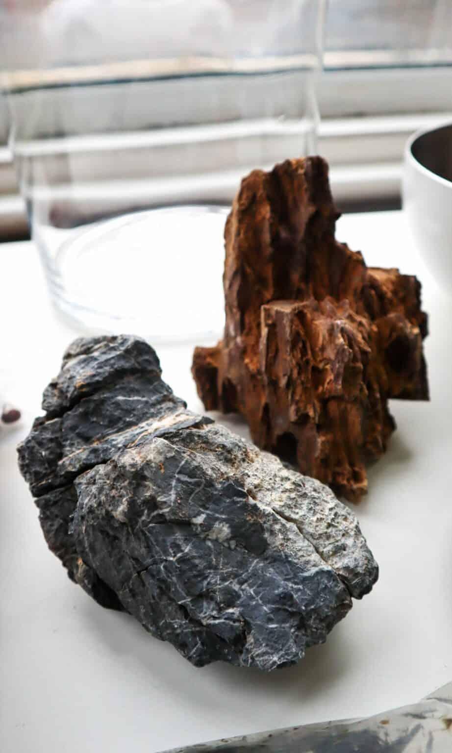 The Complete Seiryu Stone Hardscape Guide (Varieties & Uses)