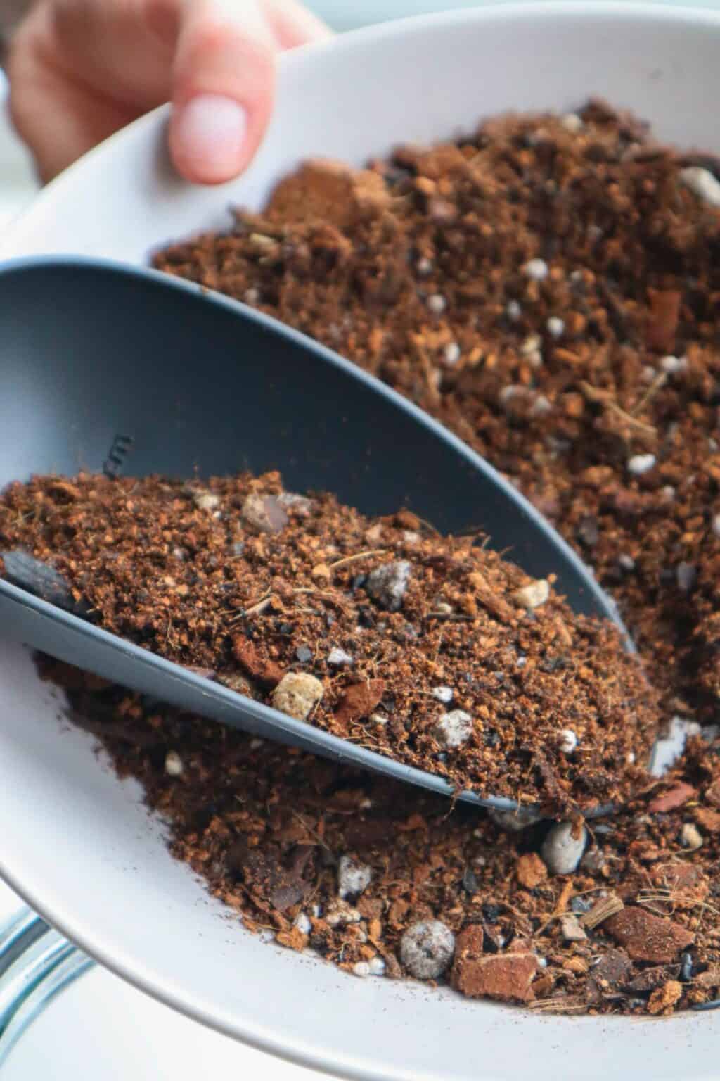 What Is Orchid Bark (Fir Bark)? Substrate & Mixes Explained