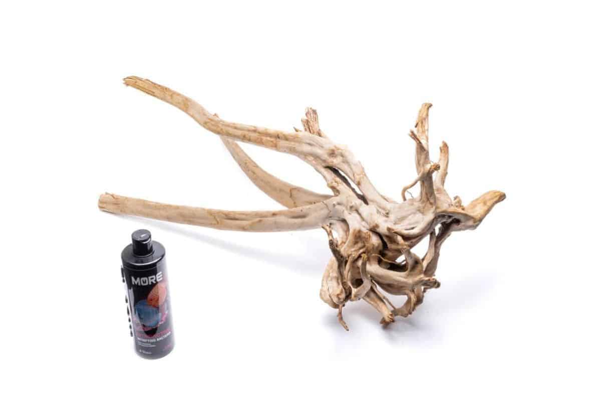 Riparium 101: The Complete Guide to Epic Riverbank Projects