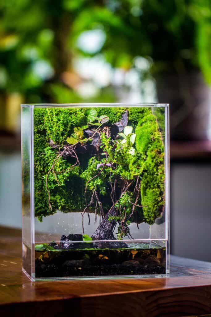 Riparium 101: The Complete Guide to Epic Riverbank Projects