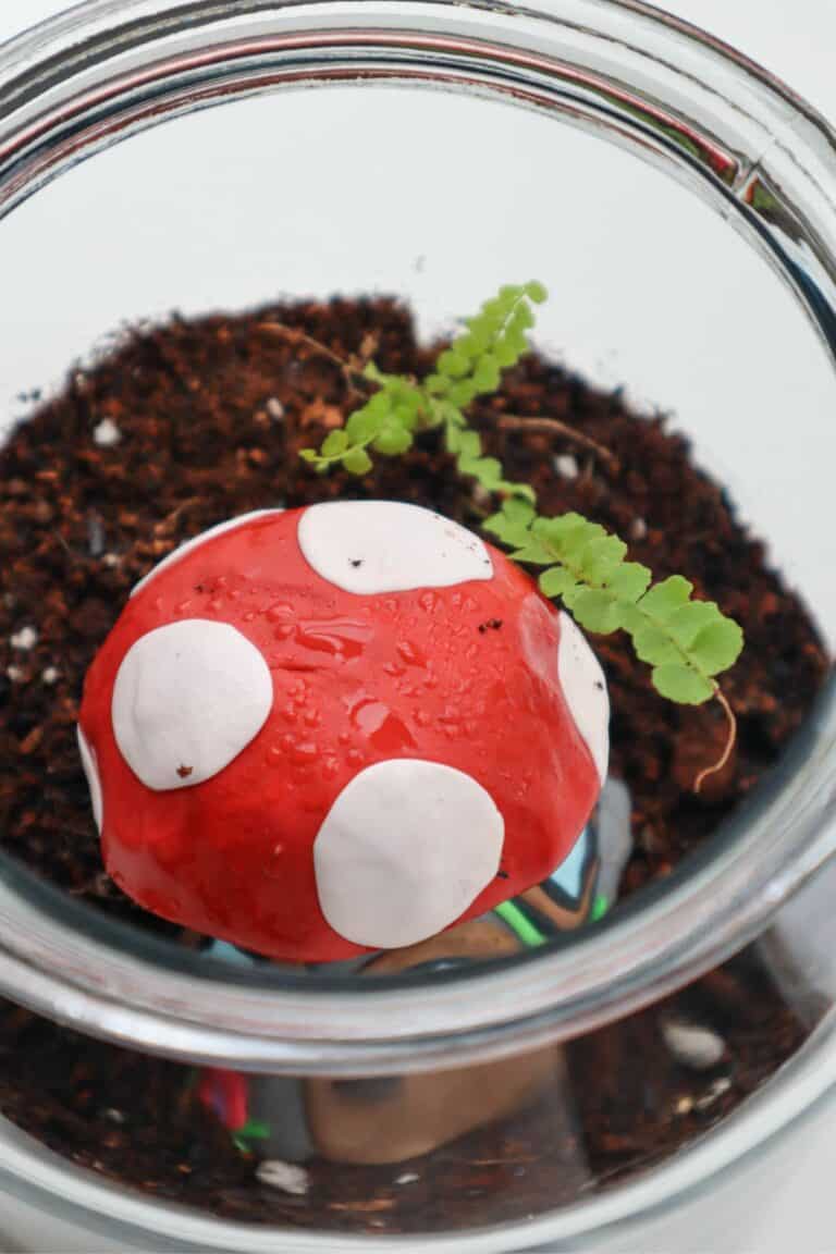 Terrarium for Kids: DIY Guide, Fun Activities & Best Kits