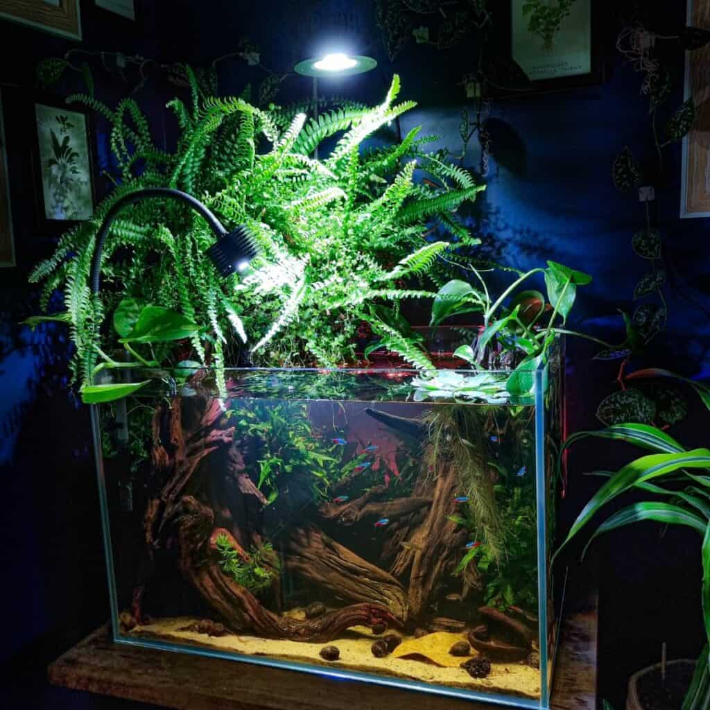 Riparium 101: The Complete Guide to Epic Riverbank Projects