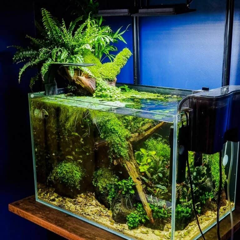 Riparium 101: The Complete Guide to Epic Riverbank Projects