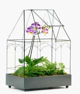 Terrarium Lids: How to Find Glass, Cork & Custom Options