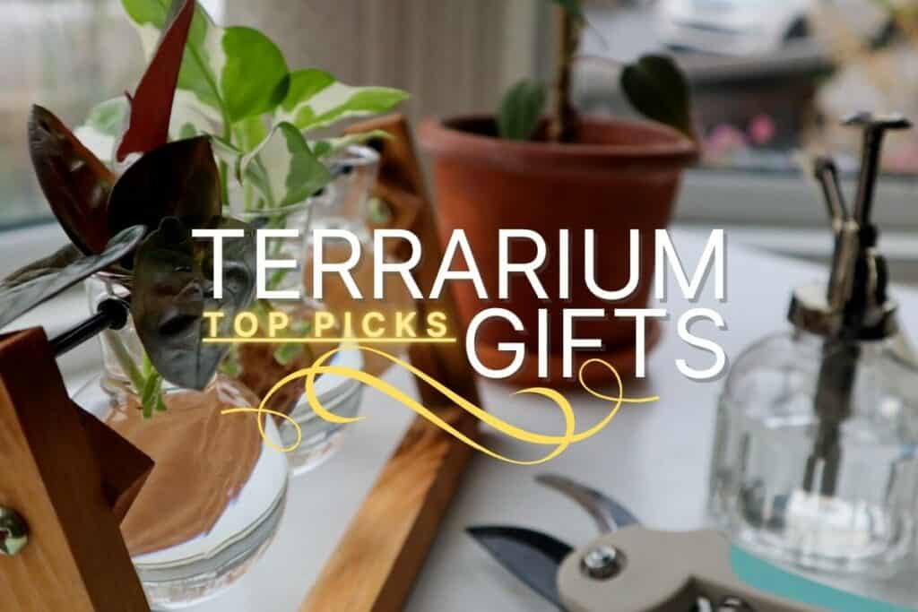 12 Thoughtful Terrarium Gifts (for the Terrarium Obsessed)