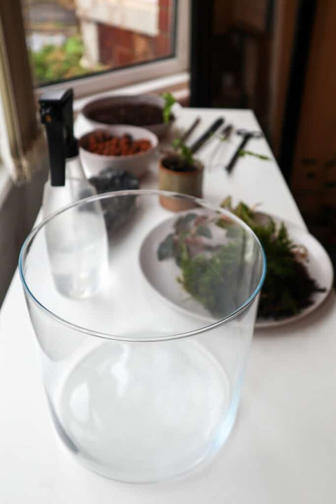 How to Make a Self Sustaining Terrarium (5 Ecosystem Tips)