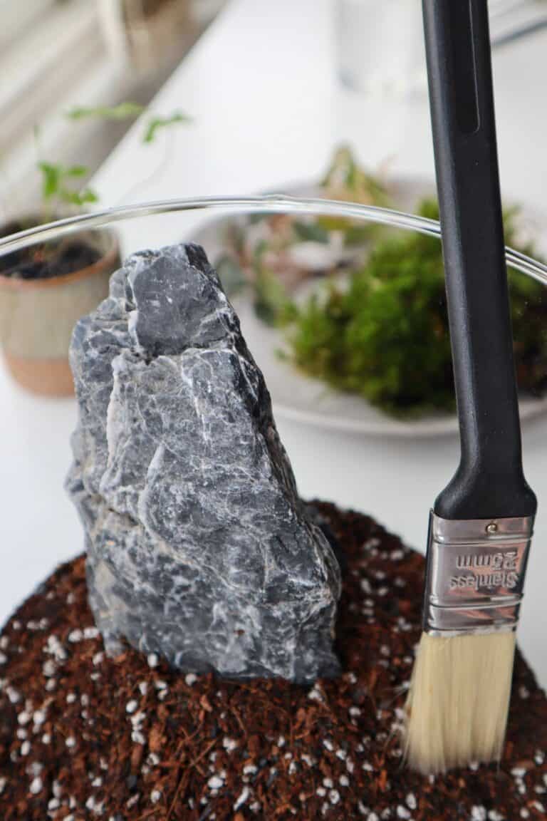 How to Make a Terrarium - A Beginner’s Guide (Step-By-Step)