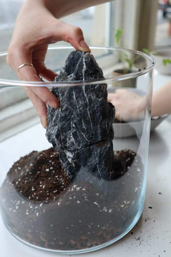 How to Make a Terrarium - A Beginner’s Guide (Step-By-Step)