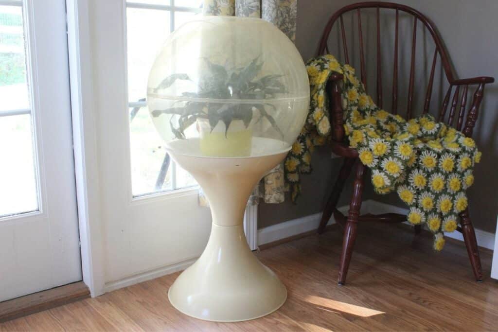 Antique & Vintage Terrariums: Original Pieces & Retro Trends