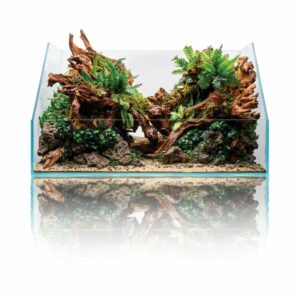 Paludarium 101: Creating a Thriving Semi-Aquatic Paradise