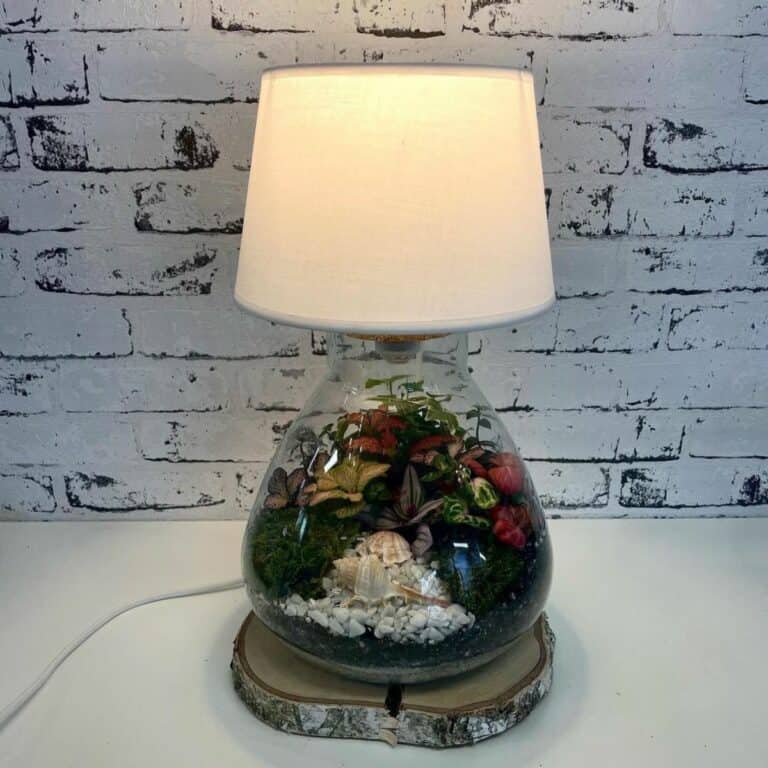 How to Make a Radiant Terrarium Lamp [DIY Guide]