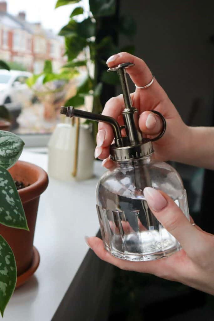 6 Must-Have Terrarium Tools for Any Budding Builder (+ Bonus Items)