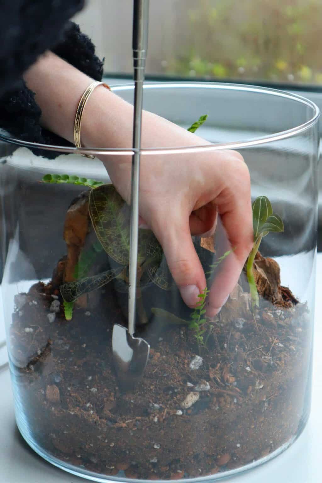 6 Must-Have Terrarium Tools for Any Budding Builder (+ Bonus Items)