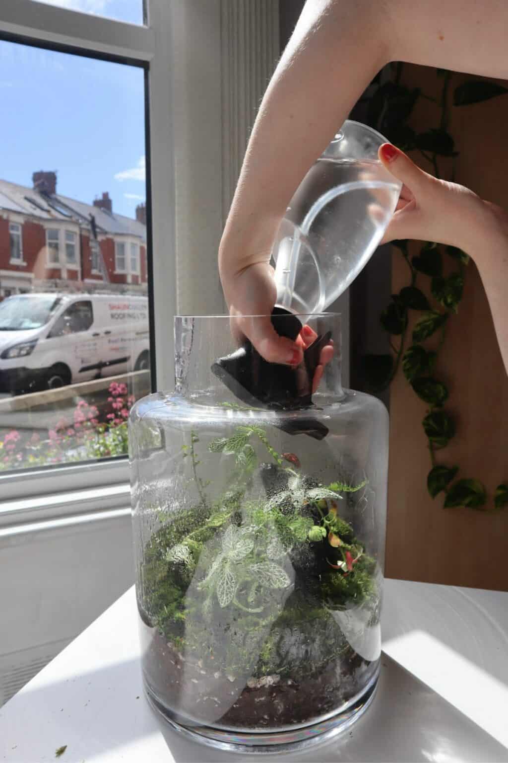 6 Must-Have Terrarium Tools for Any Budding Builder (+ Bonus Items)