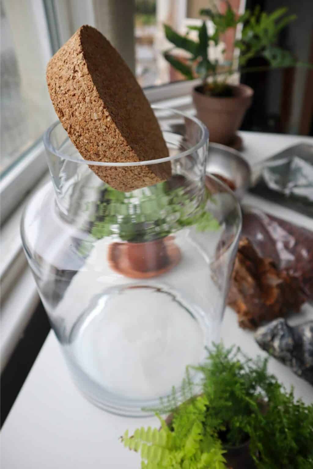 How to Make a Radiant Terrarium Lamp [DIY Guide]