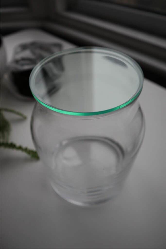 Essential Terrarium Supplies for DIY Projects (+ Examples) - Terrarium ...