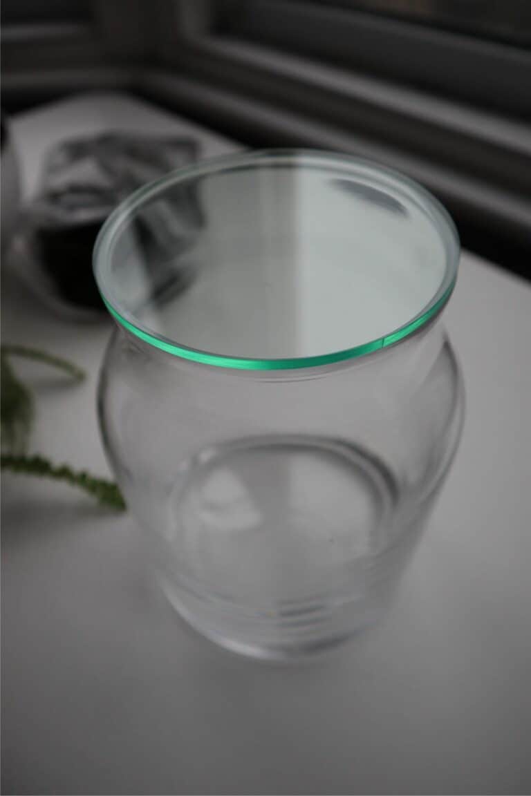 Essential Terrarium Supplies for DIY Projects (+ Examples) - Terrarium ...