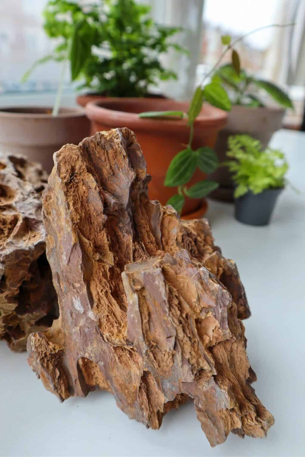 5 Visually Stunning Terrarium Rocks for Creative Planting