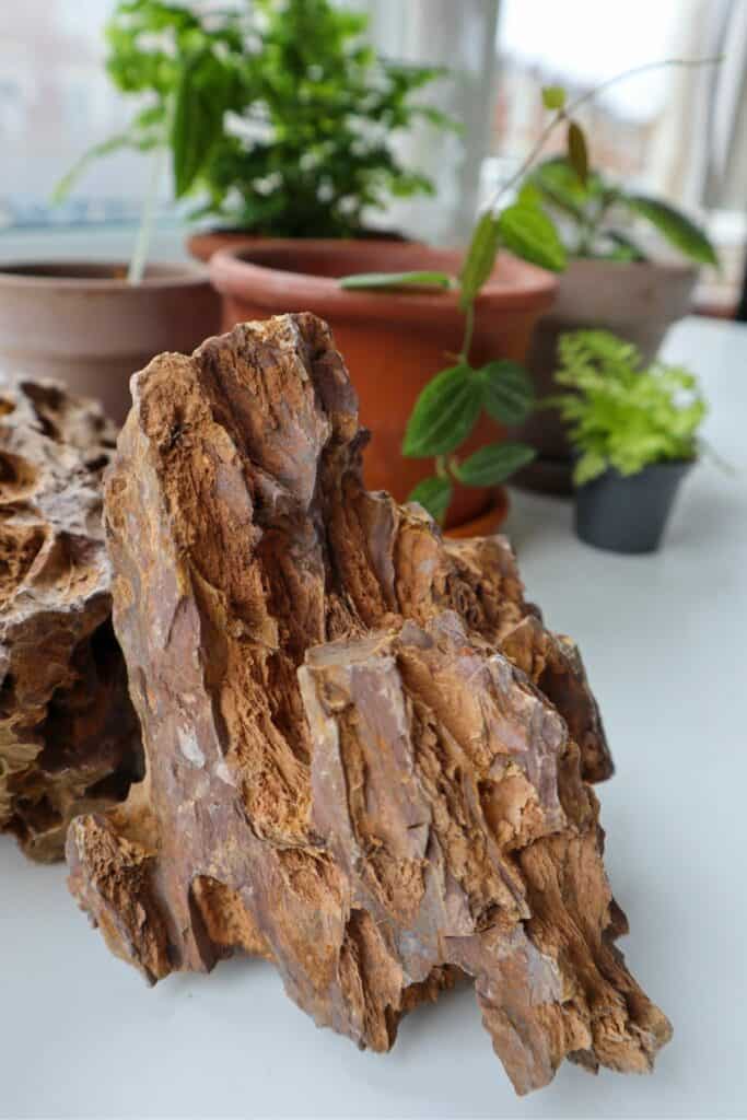 5 Visually Stunning Terrarium Rocks for Creative Planting