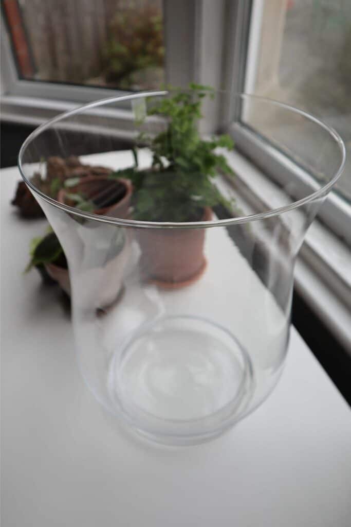 Essential Terrarium Supplies for DIY Projects (+ Examples) - Terrarium ...