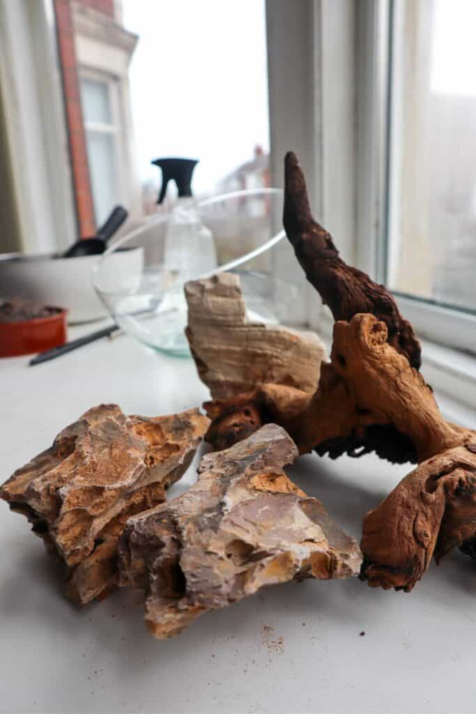 5 Visually Stunning Terrarium Rocks for Creative Planting